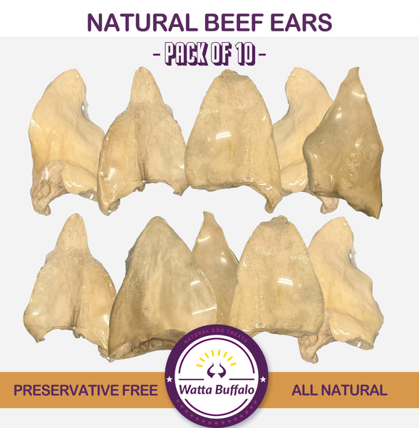 WATTA BUFFALO Natural Beef Ears - (PACK OF 10) – HAPPYPETMART